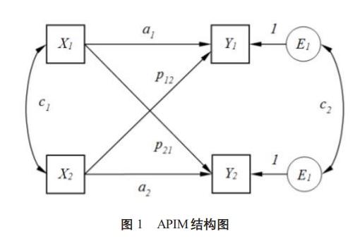 APIM主客体互依模型中的调节效应如何做 | DataSense