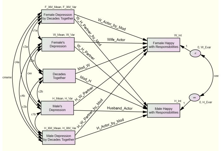 APIM主客体互依模型中的调节效应如何做 - DataSense